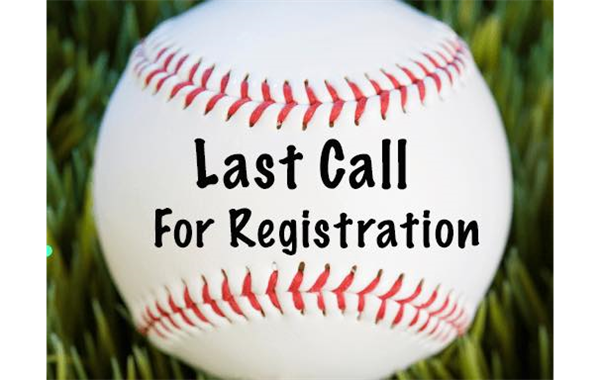 Harbor Springs Little League > Home